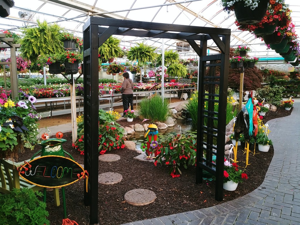 W.W. Greenhouses | What's blooming and in color at W.W..