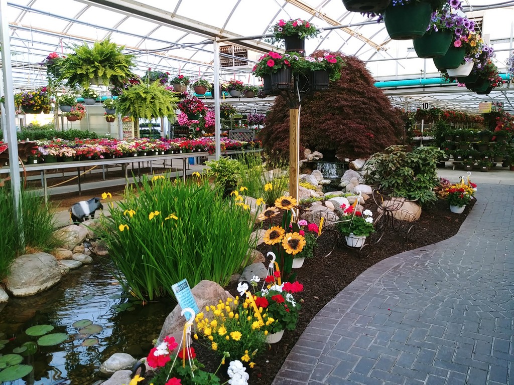 W.W. Greenhouses | What's blooming and in color at W.W..